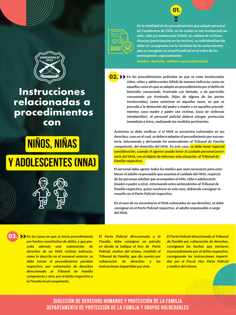Instruc NNA | PDF | Crímenes | Crimen y violencia