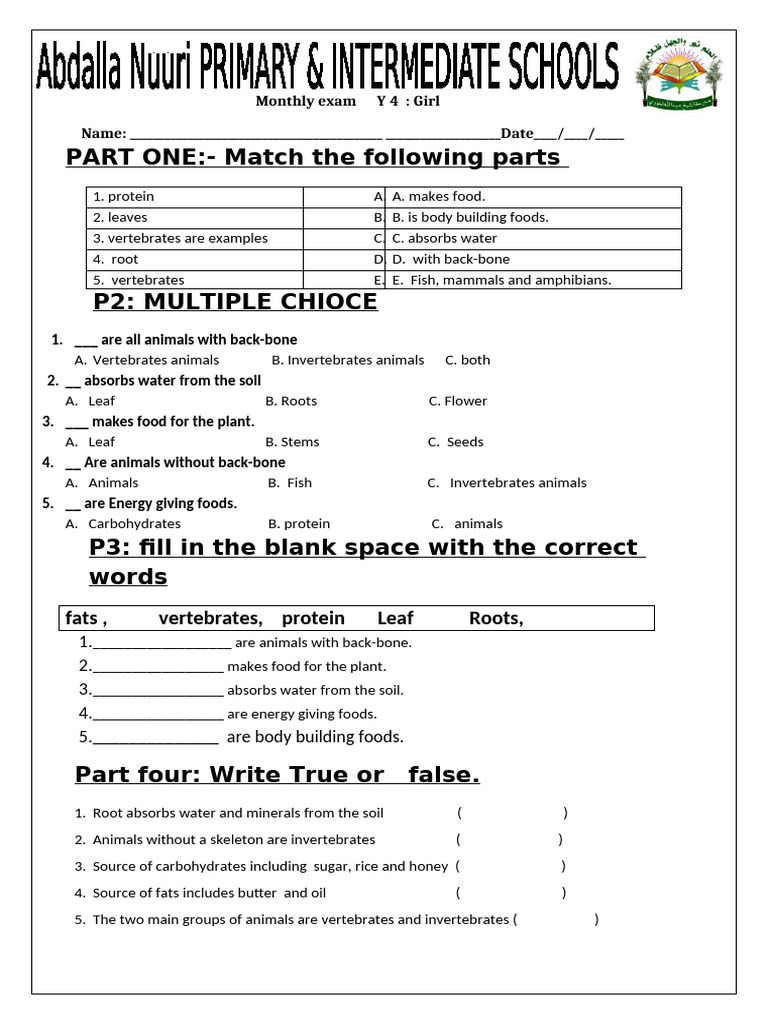 Year 4 Science Exam Worksheet | PDF