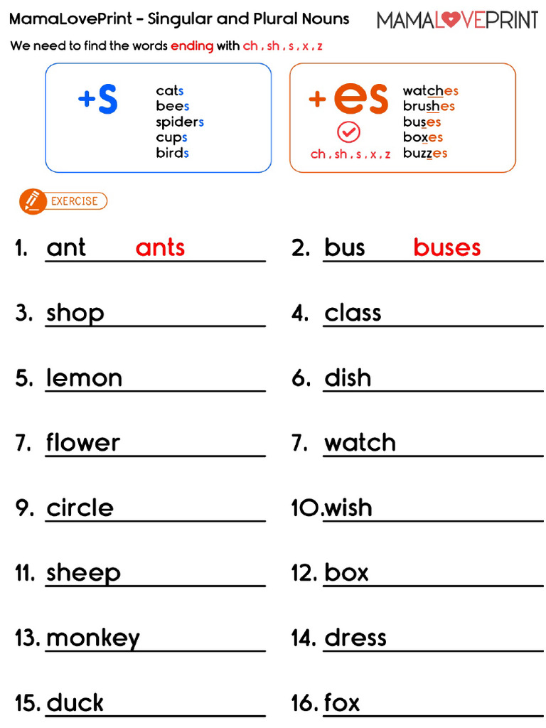 6 Grammar Plural Nouns Book2 | PDF