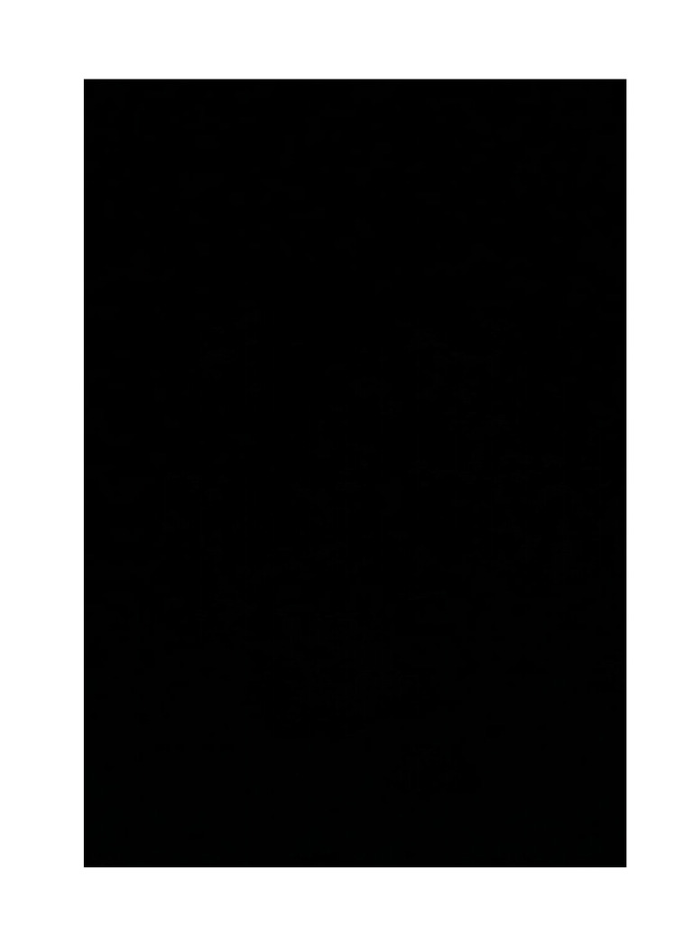 Layar Hitam | PDF