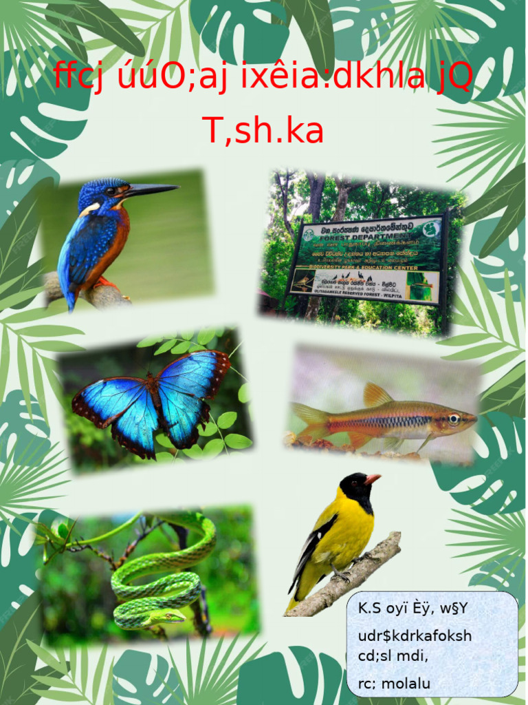 Parisara Niyamu Daham - 121047 | PDF