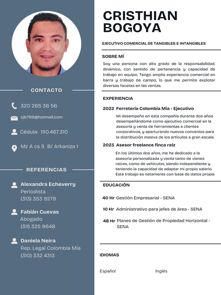 Hoja de Vida Cristhian Bogoya 2024 | PDF