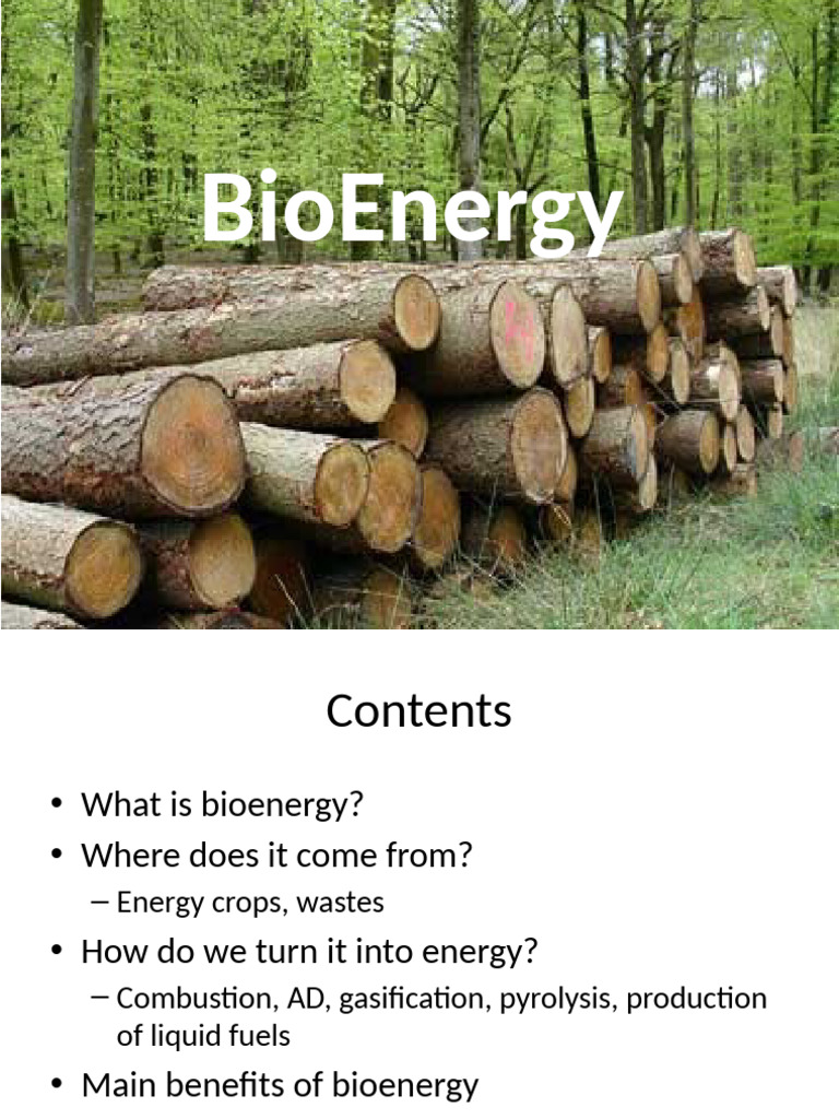 9 Bioenergy | PDF | Biofuel | Power Resources