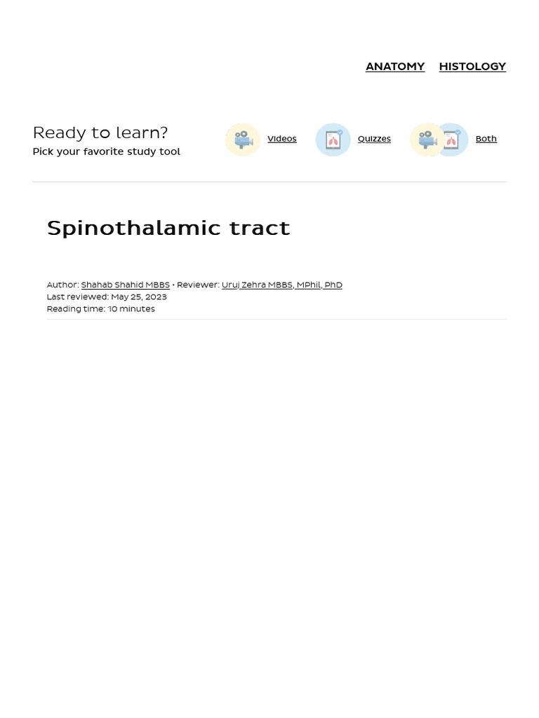 Spinothalamic Tract - Anatomy and Function - Kenhub | PDF | Spinal Cord ...