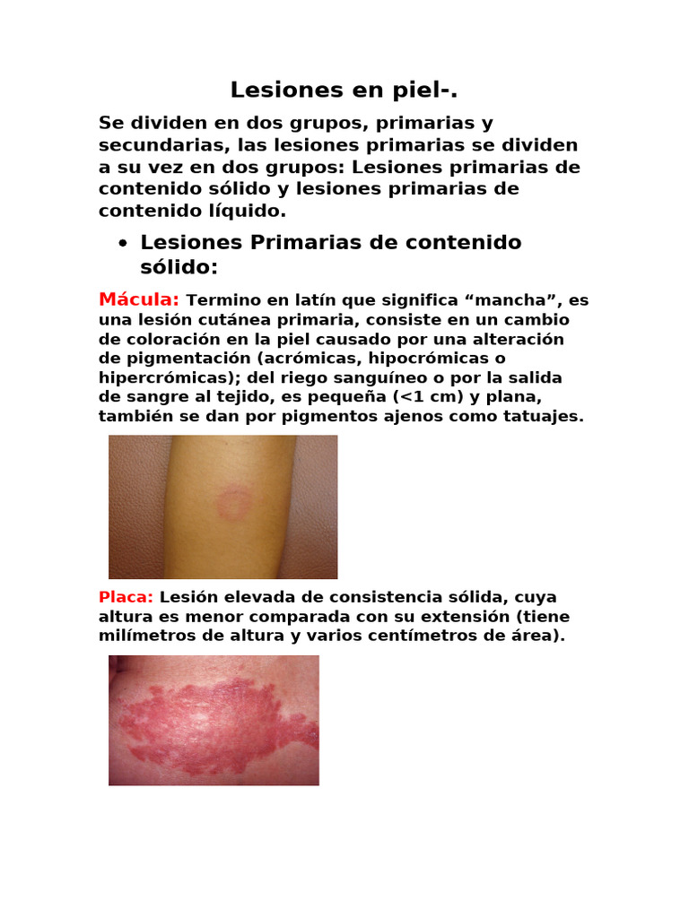 Lesiones en Piel | PDF | Piel | Especialidades Medicas