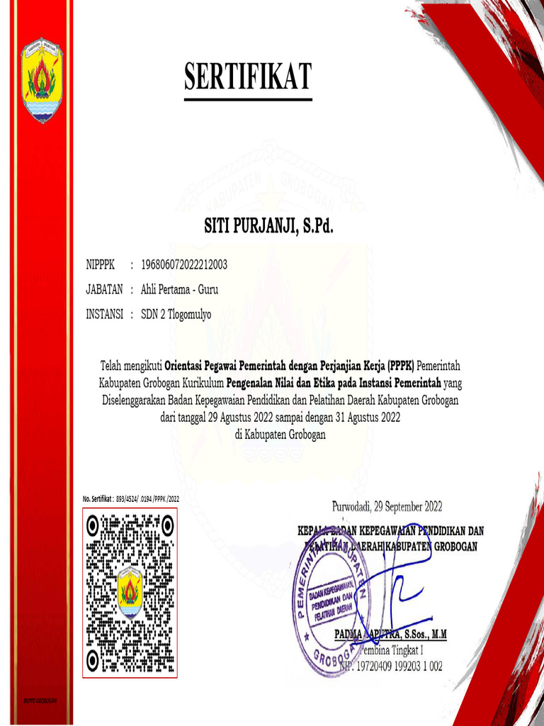 PPPK Sertifikat Mooc | PDF