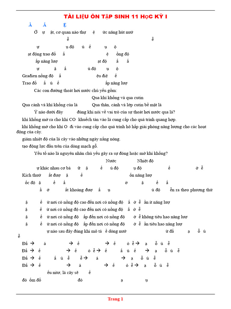 Bộ câu hỏi ôn tập HK1 Sinh 11 | PDF