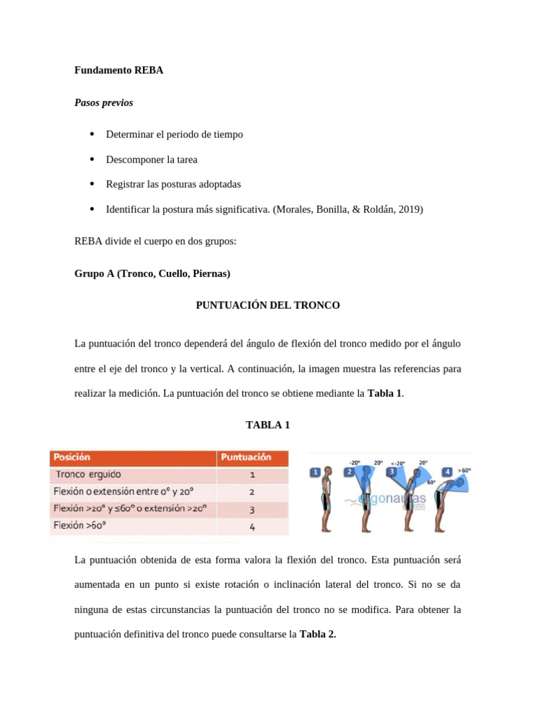 Fundamento REBA 00 | PDF