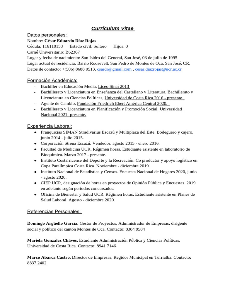 Currículum César Díaz Rojas | PDF