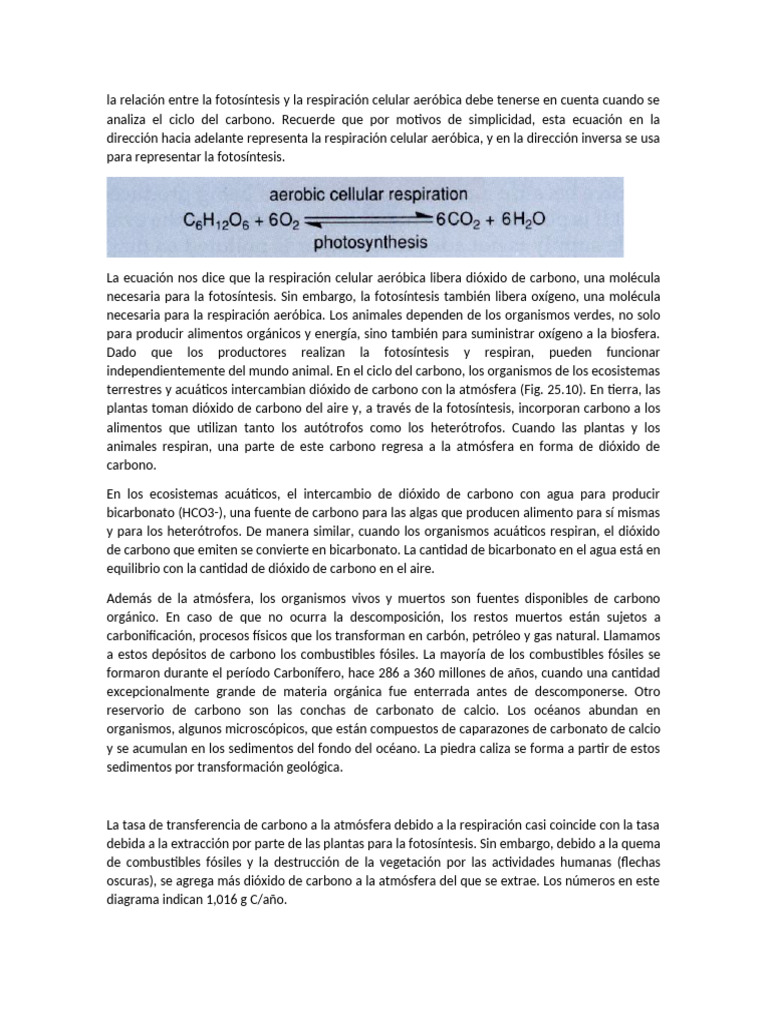 La Relación Entre La Fotosíntesis y La Respiración Celular Aeróbica ...