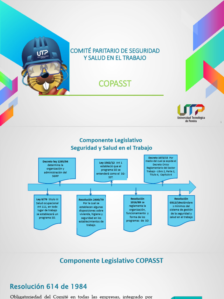 Que Es El Copasst | PDF | Seguridad y salud ocupacional | Gobierno