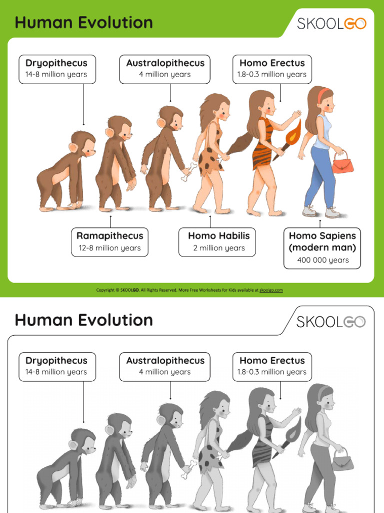 4-0042-Human-Evolution | PDF