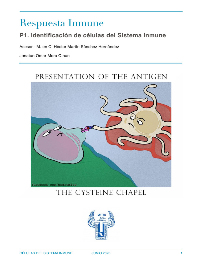 Células Del Sistema Inmune PDF | PDF | Linfocitos | Sistema inmune