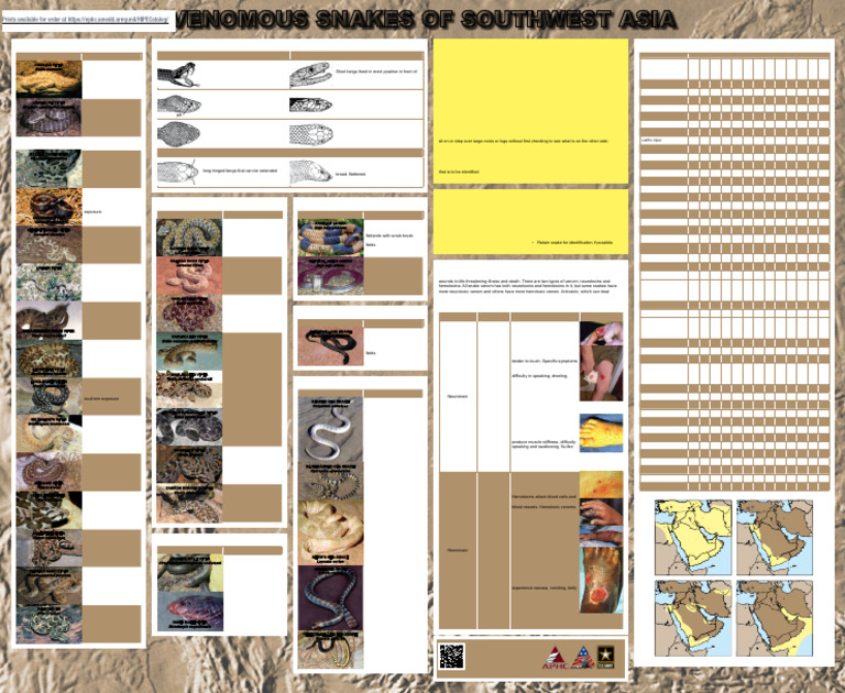 Ento Snakes Soutwest Asia Poster | PDF | Arabian Peninsula | Snake