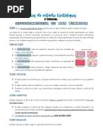 05 Tejidos Epiteliales III Especializaciones Del Dominio Basolateral ...