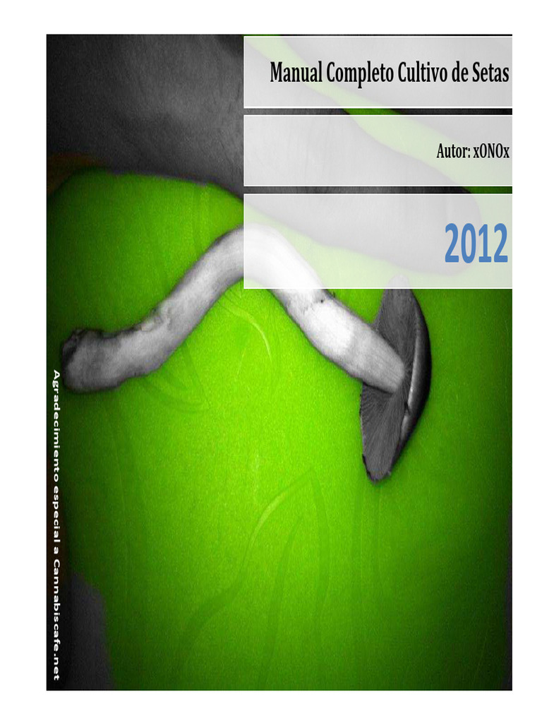 Manual Cultivo Setas | PDF | Hongo | Compost