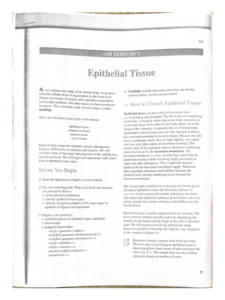 Anaphy Lab Activity | PDF