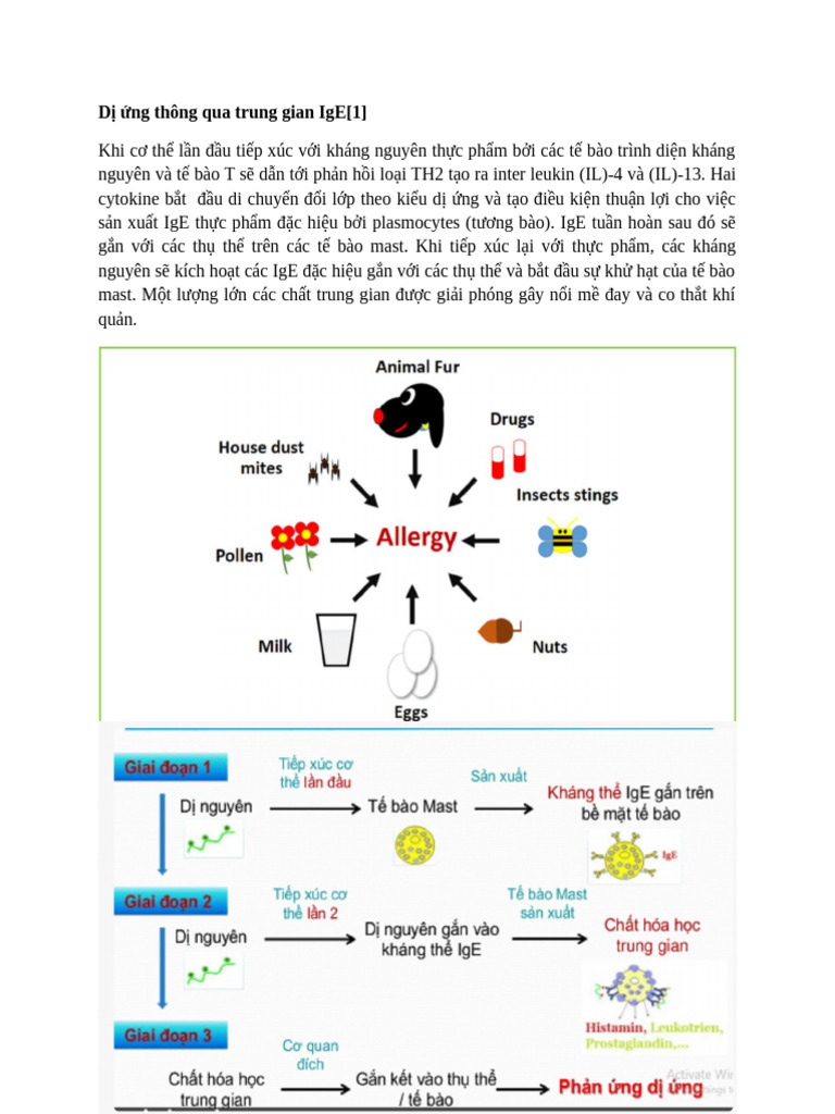 Cac Kieu Di Ung | PDF