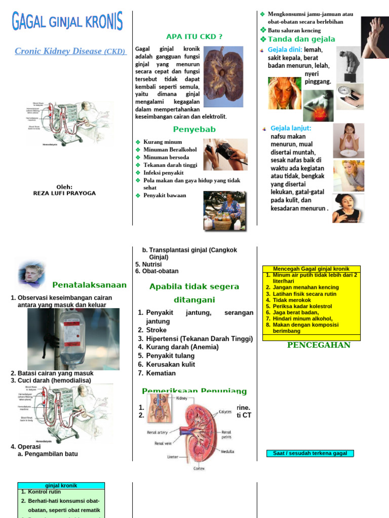 Leaflet CKD Reza | PDF