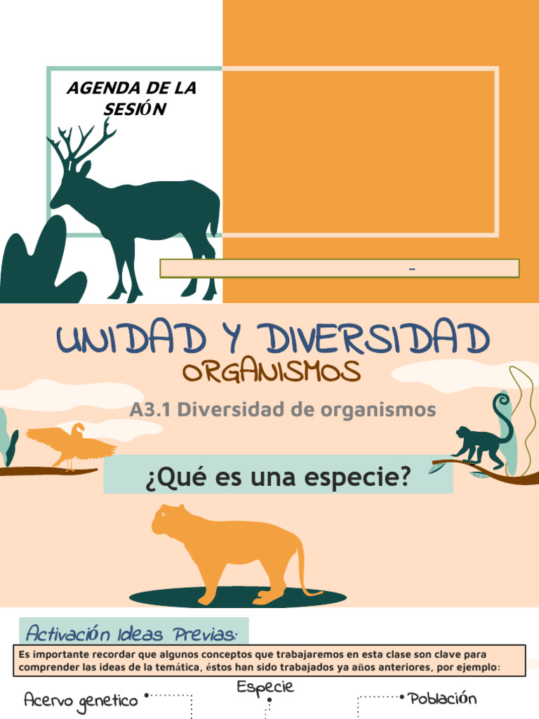 Diversidad de Los Organismos | PDF | Cromosoma | Especies