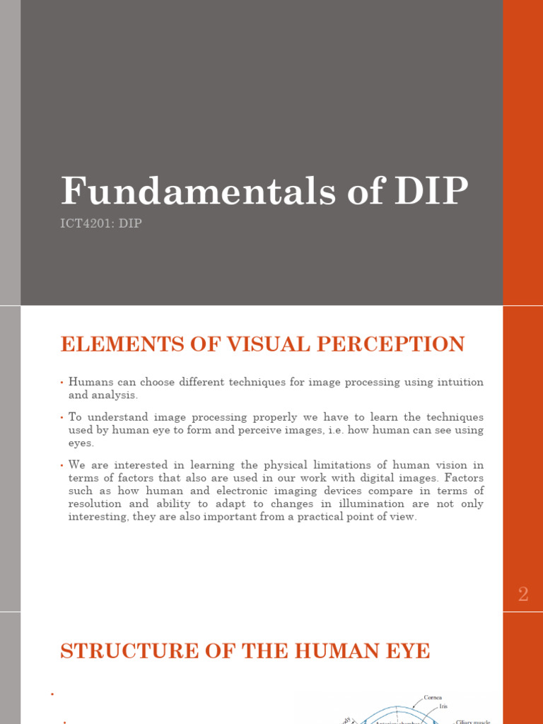 DIP02 | PDF | Eye | Human Eye