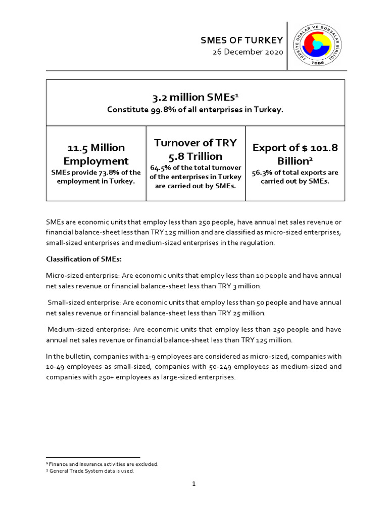 SMEs in Turkey: Key Statistics 2020 | PDF | Small And Medium Sized ...