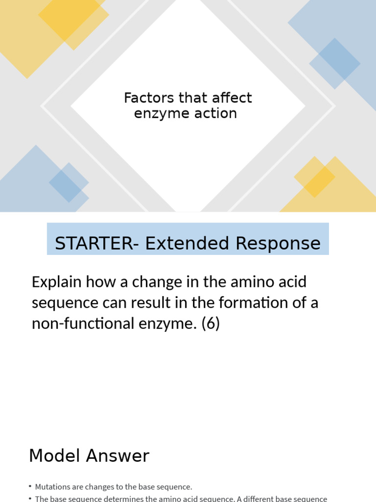Factors Affecting Enzyme Action | PDF | Active Site | Enzyme