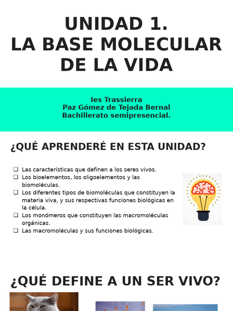 Unidad 1. La Base Molecular de La Vida | PDF | Organismos | Biomoléculas