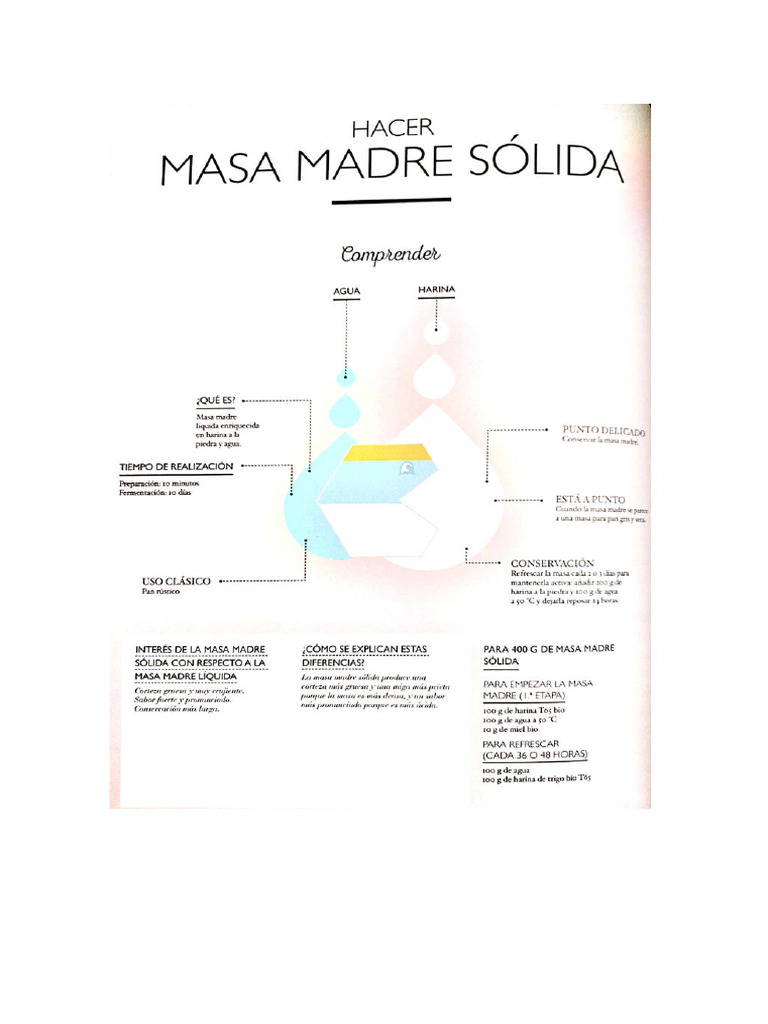 Masa Madre Solida | PDF