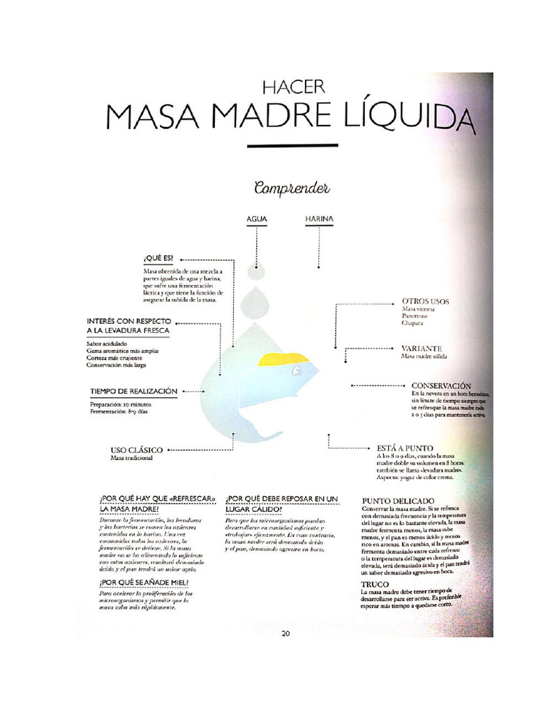 Hacer Masa Madre Líquida | PDF