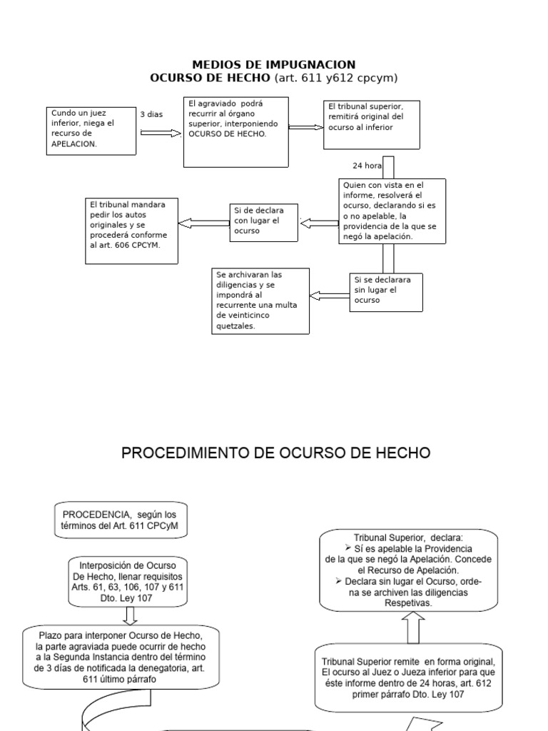Esquemas Del Ocurso de Hecho | PDF | Apelación | Separación de poderes