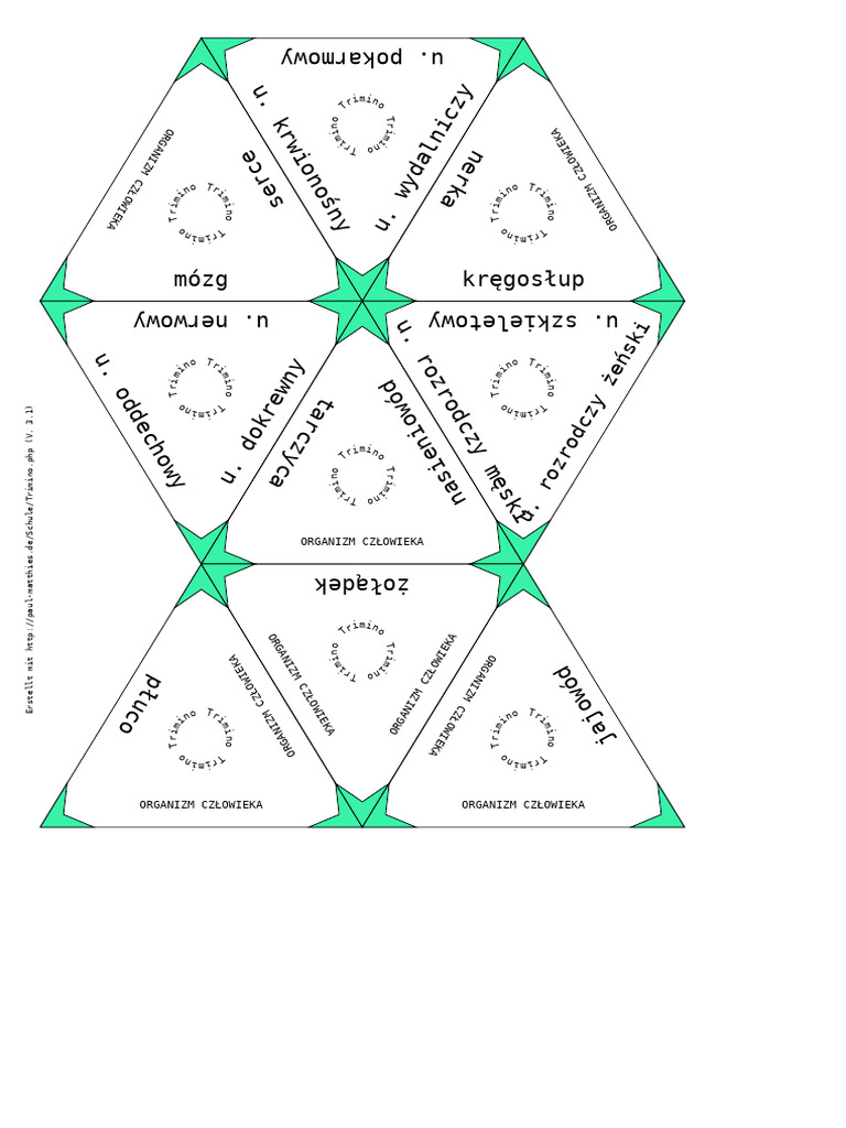 Trimino - ORGANIZM CZŁOWIEKA | PDF