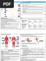 GCSE PE Skeleton Overview | PDF | Anatomy | Musculoskeletal System