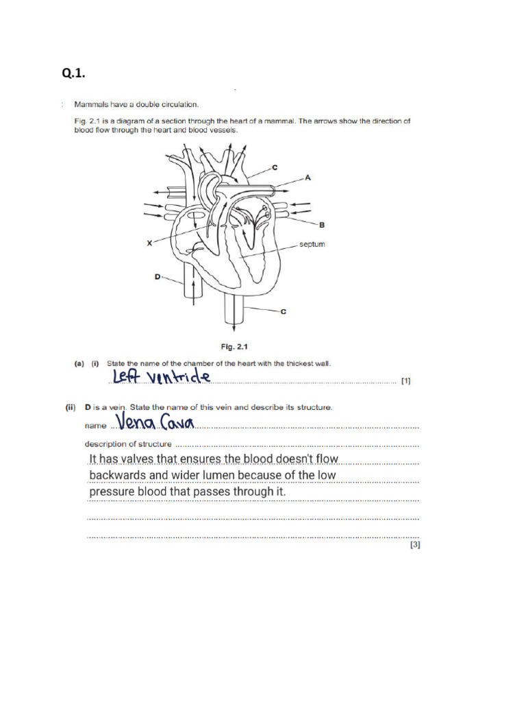 Term1test 1 25 - 241016 - 203022 | PDF