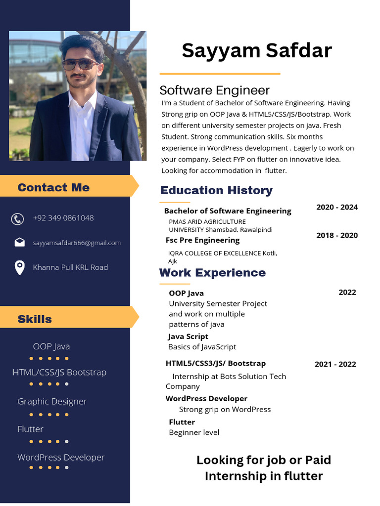Sayyan's CV | PDF | Computers