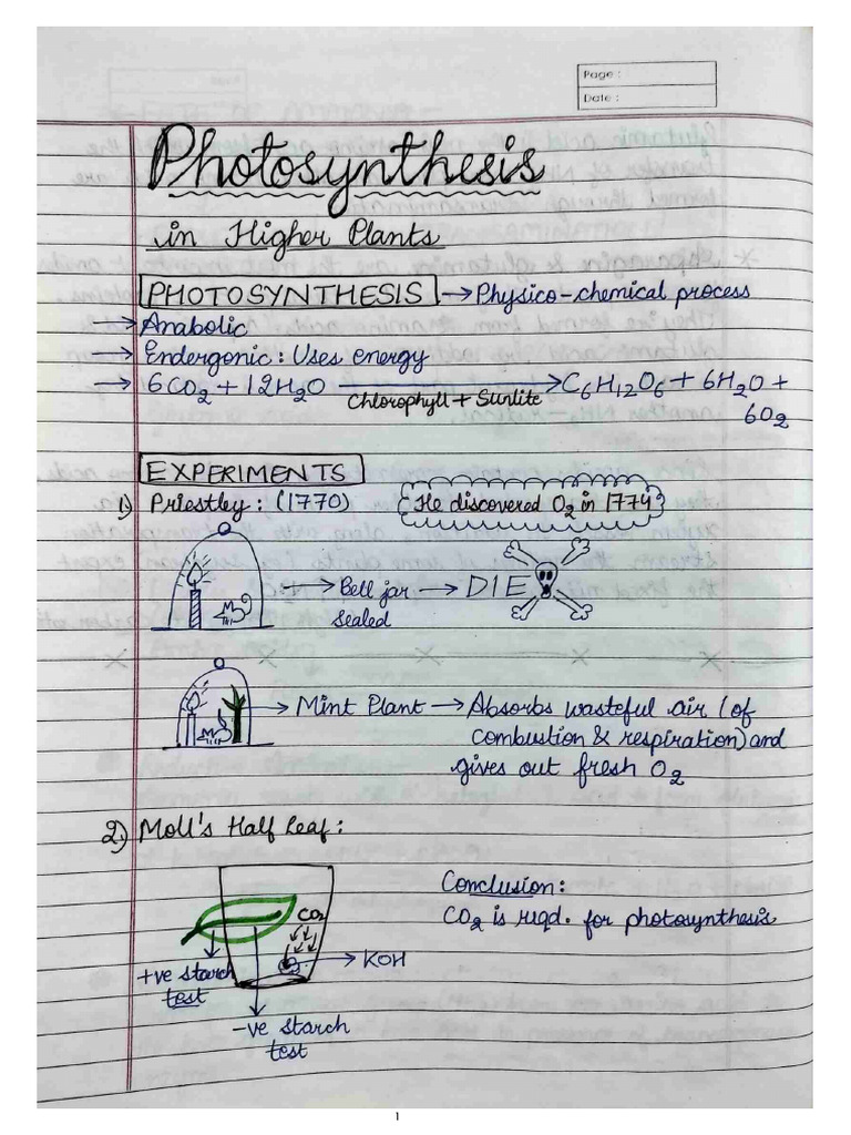 NEET Biology Preparation Notes PDF | PDF