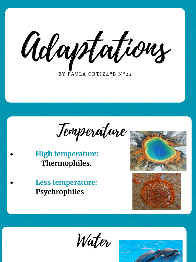 Environmental Adaptations Guide | PDF
