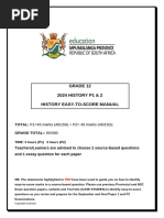 Grade 12 History P1 Essay | PDF | Black Power | Black Panther Party