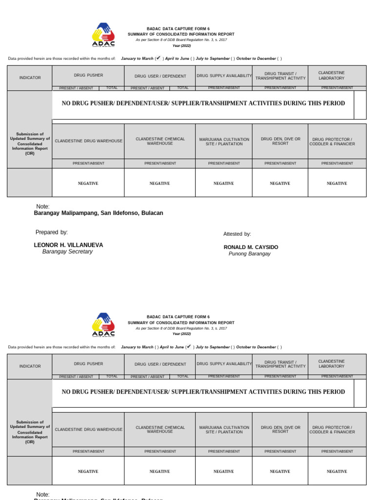 BADAC Data Capture Form Summary 2022 | PDF | Black Market | Organized Crime