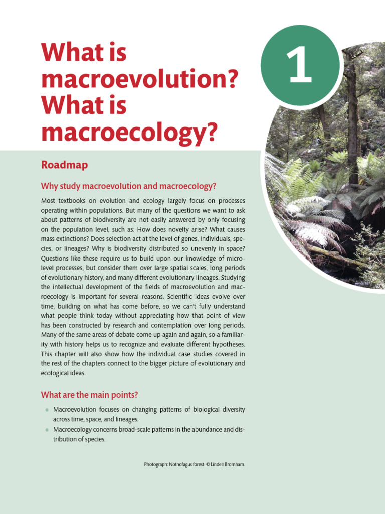 Macro Ecology | PDF | Evolution | Charles Darwin