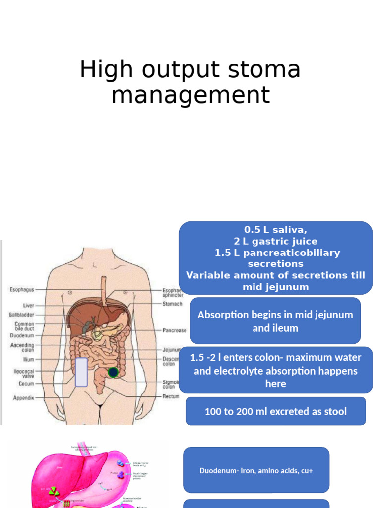 High Output Stoma Management Guide | PDF | Vitamin B12 | Dehydration