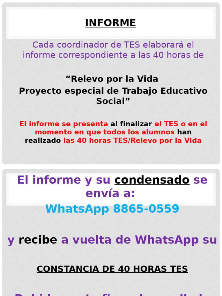 Sobre El Informe 2024 | PDF