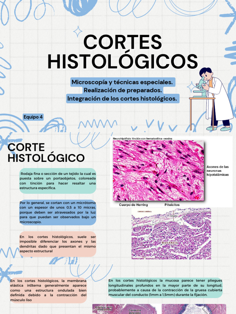 Cortes Histológicos | PDF | Resolución angular | Microscopio