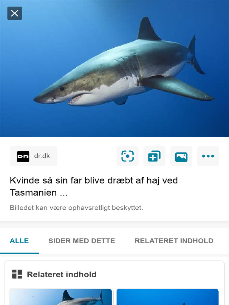 Billeder | PDF