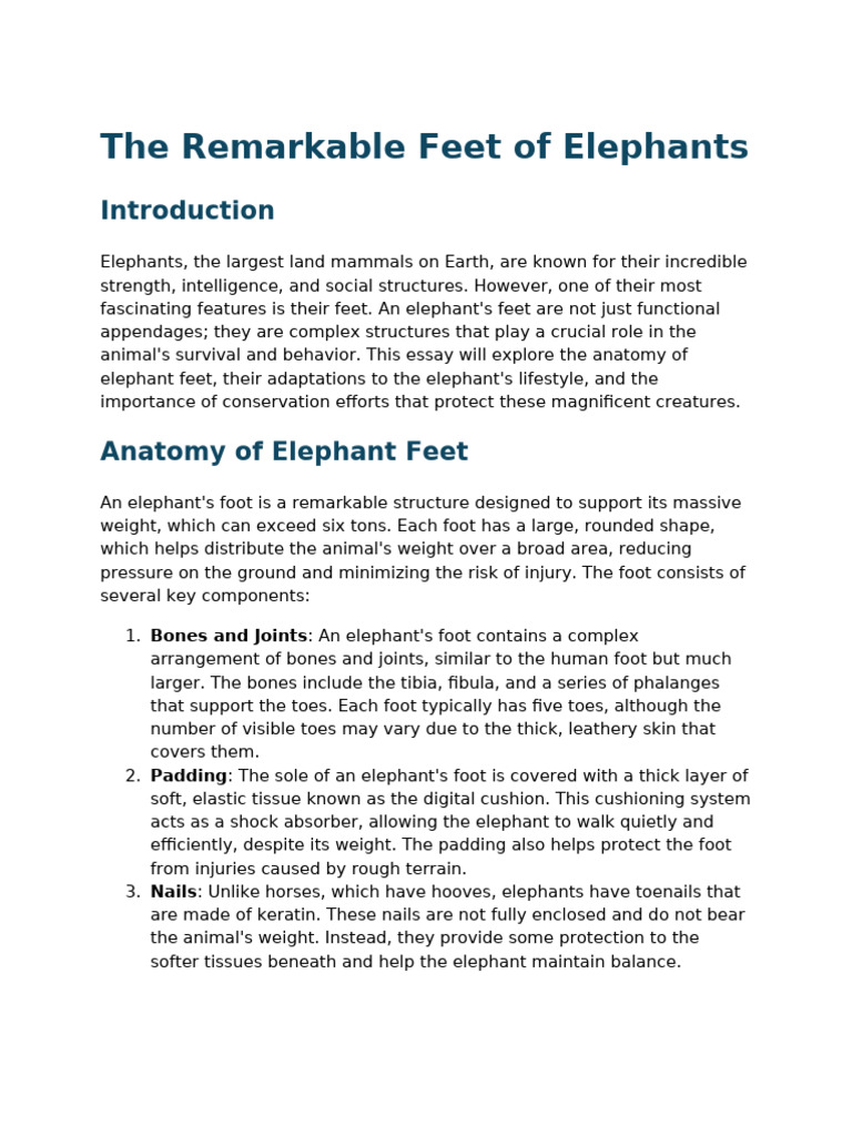 Elephant Feet: Anatomy & Conservation | PDF | Foot | Elephant