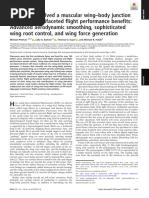 Kingmaker - Adventure Path - Interactive Maps (PZO2020) | PDF ...