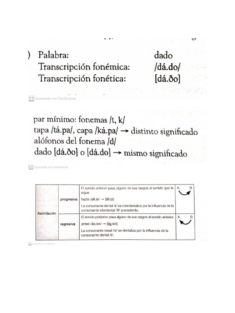 Fonética y Alófonos en Español | PDF | Artes del Lenguaje y Comunicación