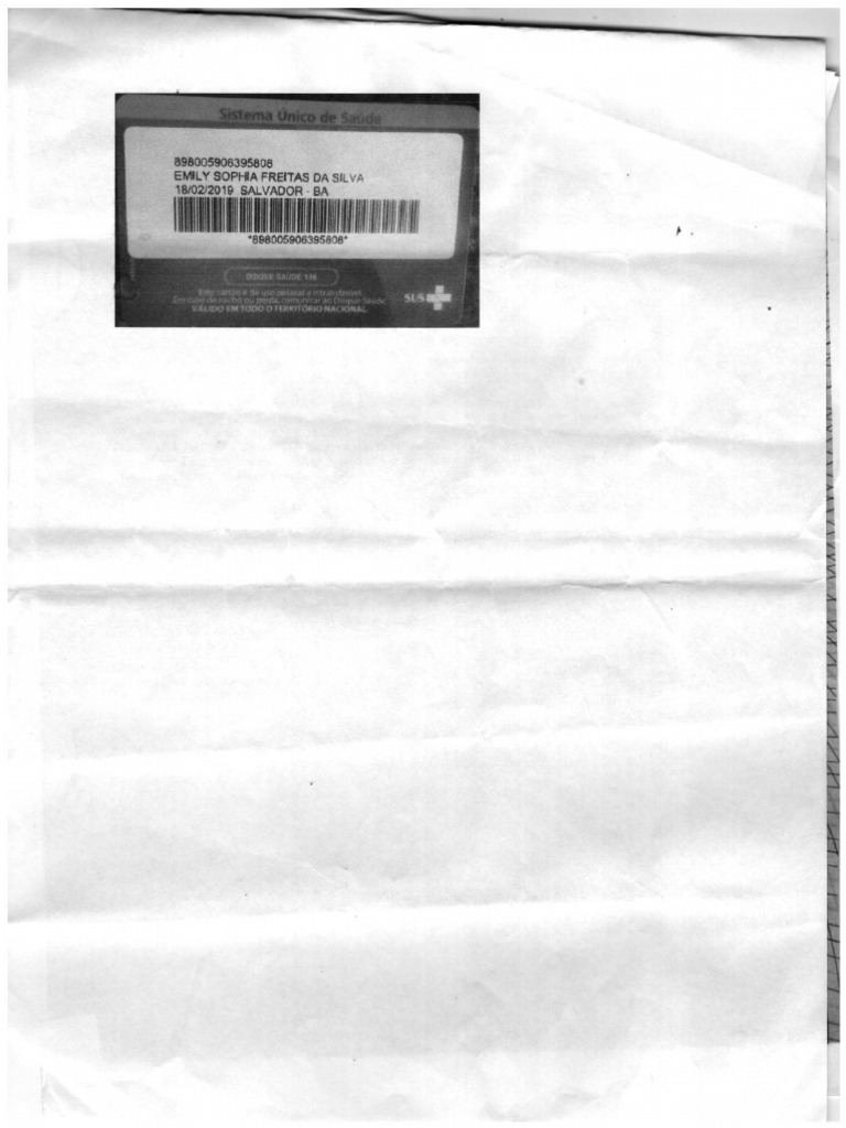 Sus de EMILY SOPHIA FREITAS DA SILVA | PDF