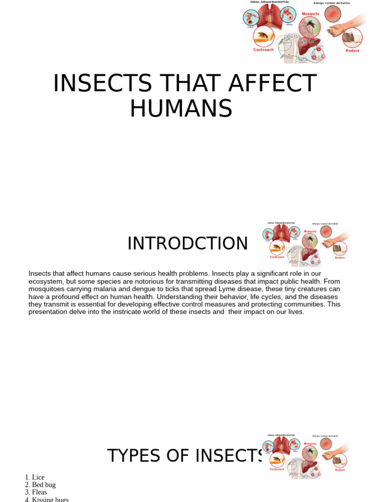 Insects That Affect Humans | PDF