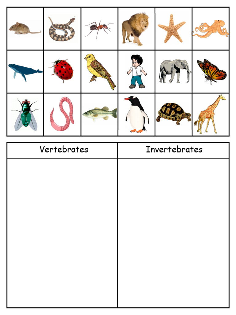 Vertebrates | PDF